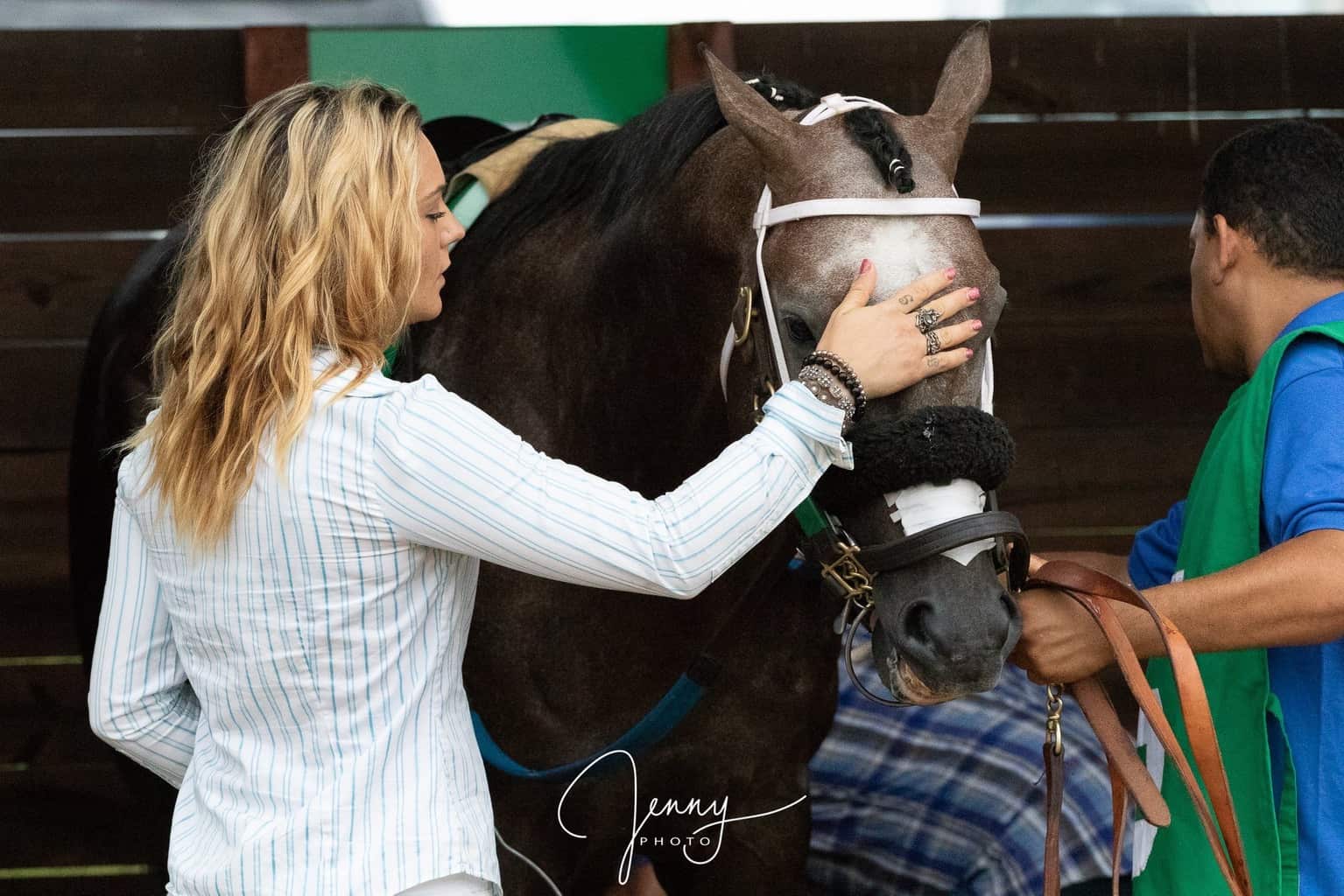 PETA is a Bully - DONNA BROTHERS